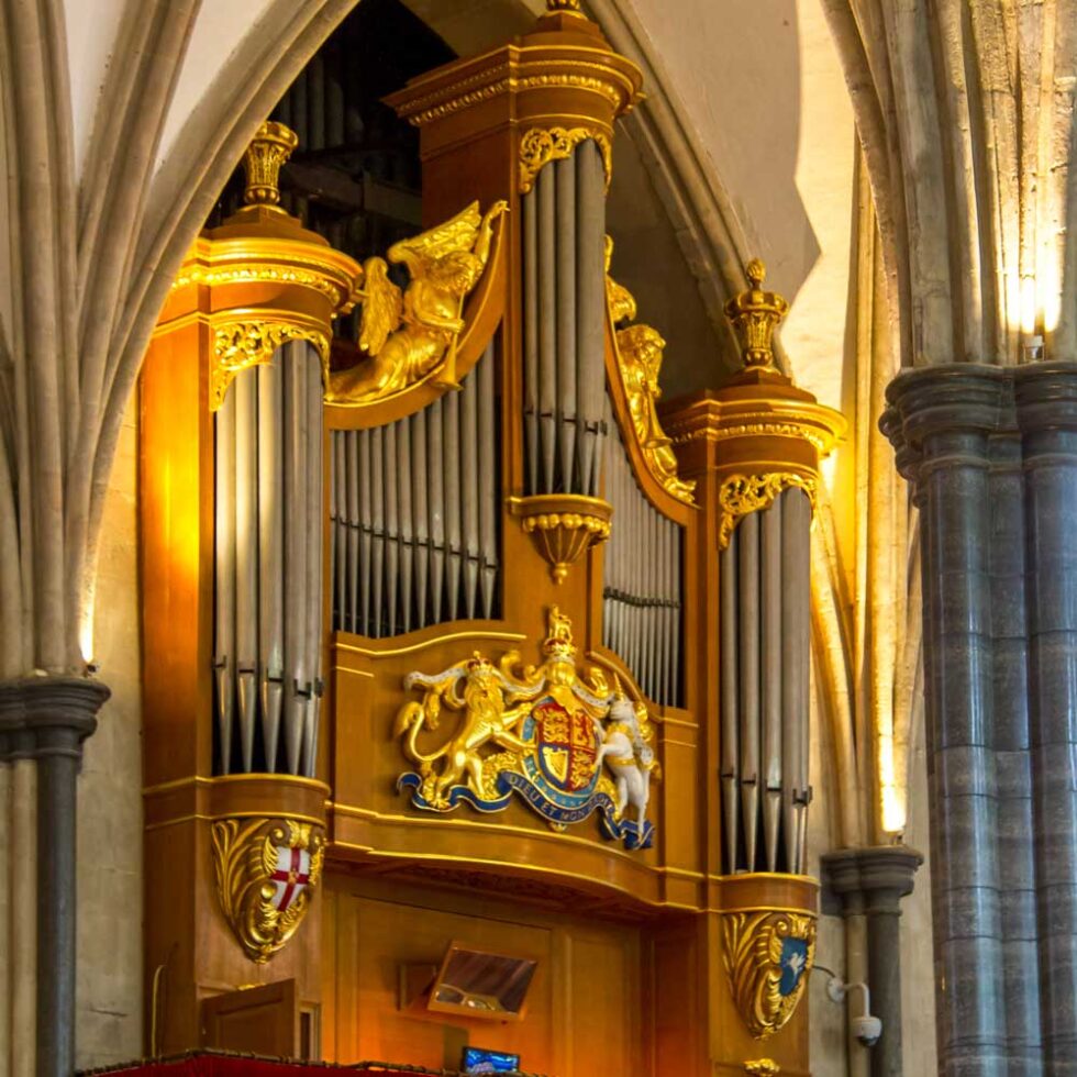 Spring 2023. 404 The Organ Issue Preview.